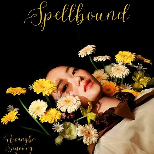 Spellbound | K-Pop Fanon Fandom Wiki | Fandom