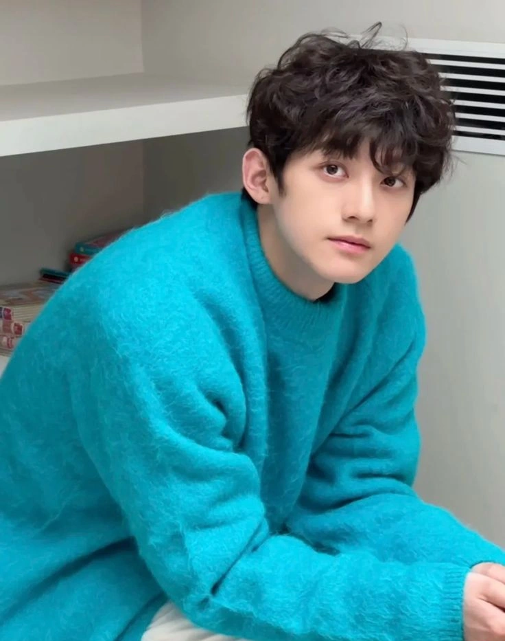 Denis Ibragimov | K-Pop Fanon Fandom Wiki | Fandom