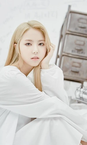 Saebi | K-Pop Fanon Fandom Wiki | Fandom