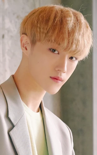 Kim Seongjin | K-Pop Fanon Fandom Wiki | Fandom