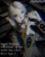 MeMeMeM | K-Pop Fanon Fandom Wiki | Fandom