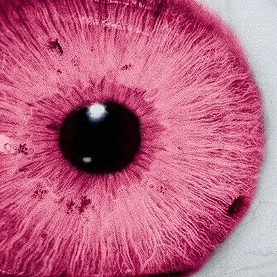 ZOOM | K-Pop Fanon Fandom Wiki | Fandom