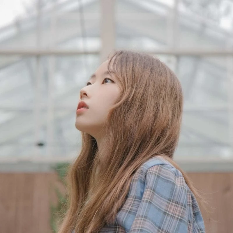 Yunsae | K-Pop Fanon Fandom Wiki | Fandom