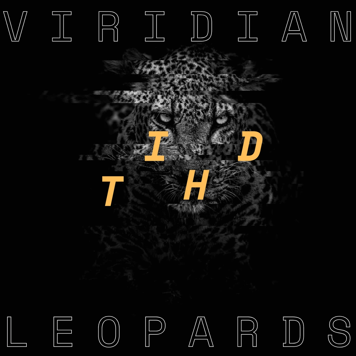 TIHD: LEOPARDS | K-Pop Fanon Fandom Wiki | Fandom