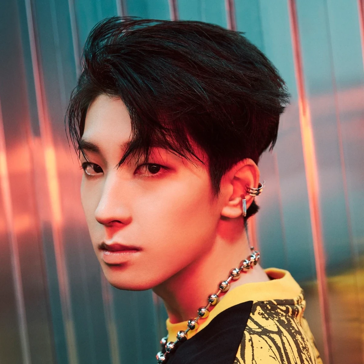 NAVIS COLUMBA/Artist Section | K-Pop Fanon Fandom Wiki | Fandom