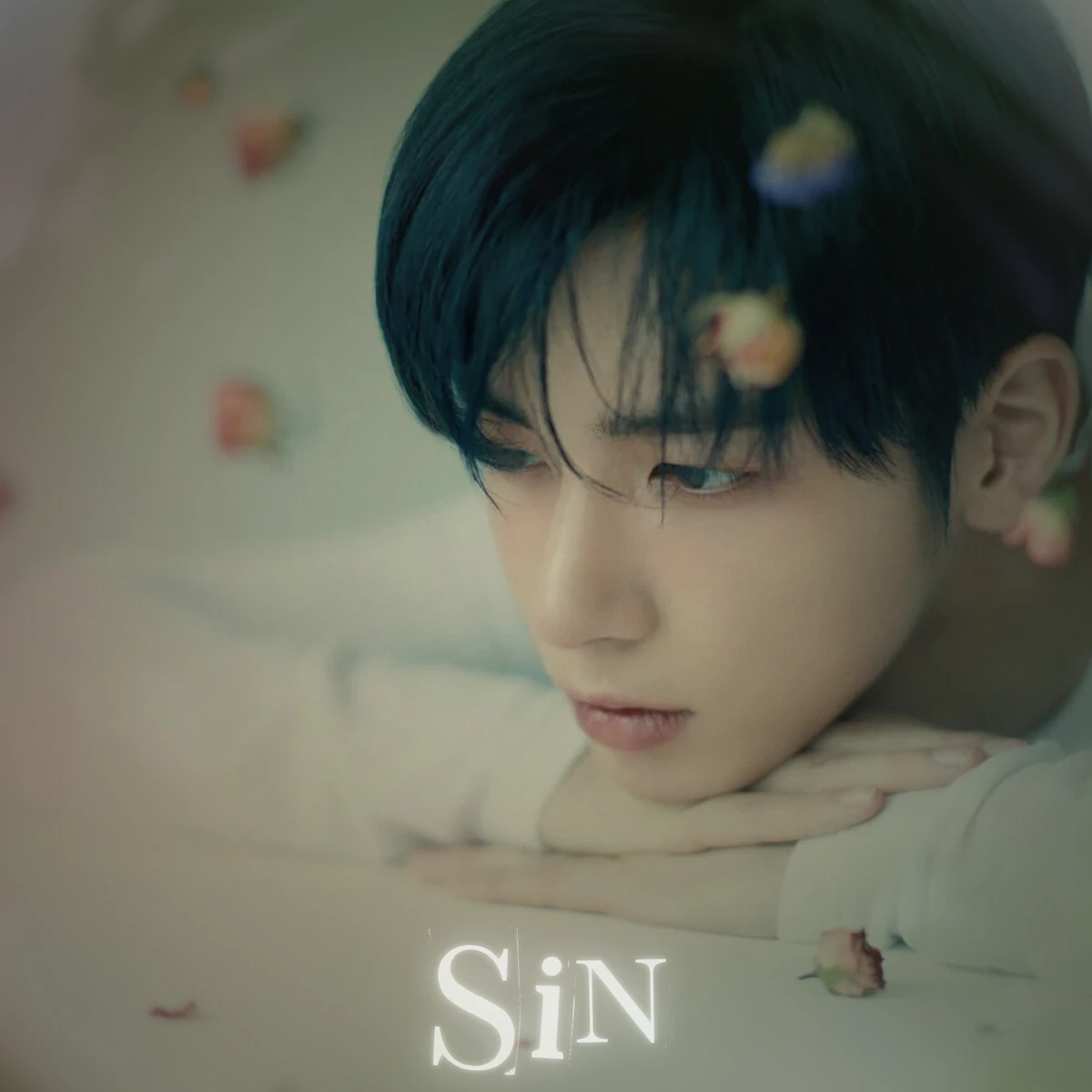 SIN 𑁍 | K-Pop Fanon Fandom Wiki | Fandom