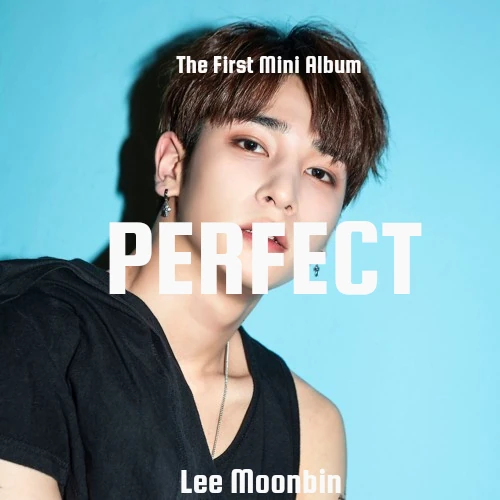 Perfect | K-Pop Fanon Fandom Wiki | Fandom