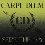 SEIZE THE DAY | K-Pop Fanon Fandom Wiki | Fandom