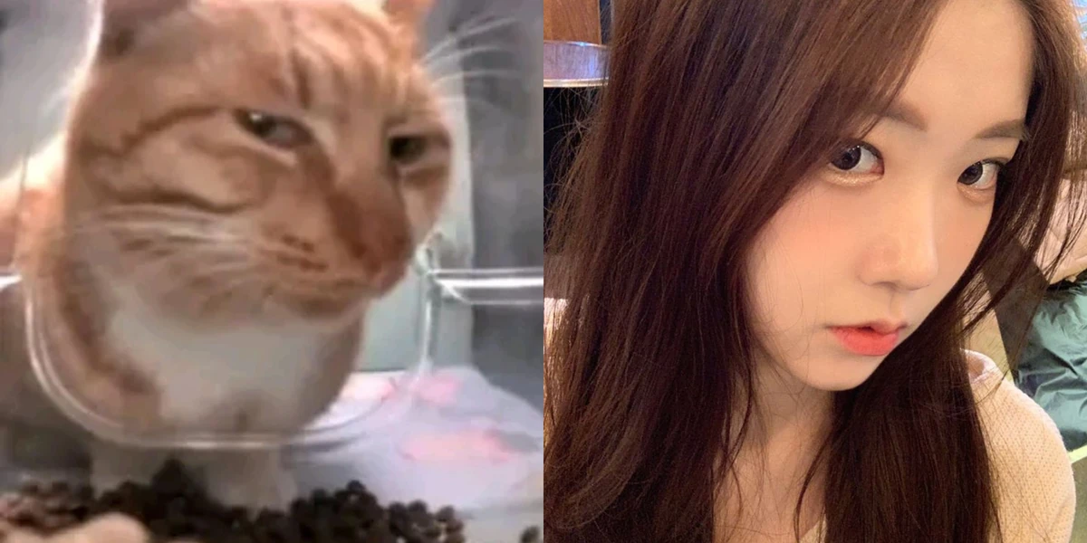 Jang Ahsong/Gallery | K-Pop Fanon Fandom Wiki | Fandom