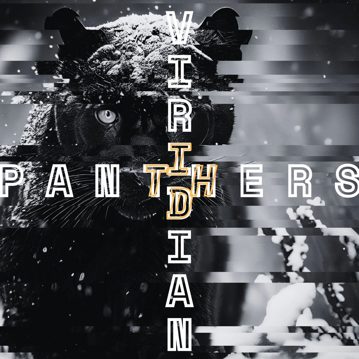 TIHD: PANTHERS | K-Pop Fanon Fandom Wiki | Fandom