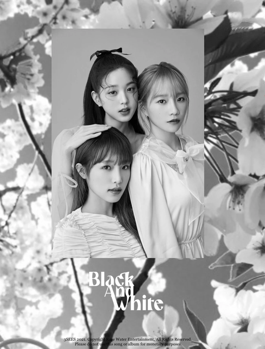 3SEES | K-Pop Fanon Fandom Wiki | Fandom