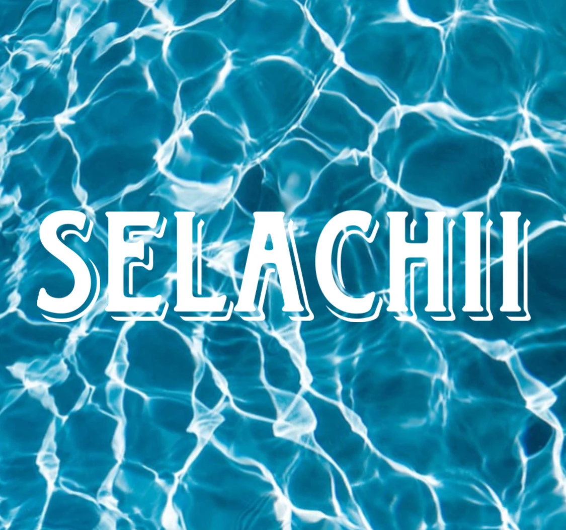 SELACHII | K-Pop Fanon Fandom Wiki | Fandom