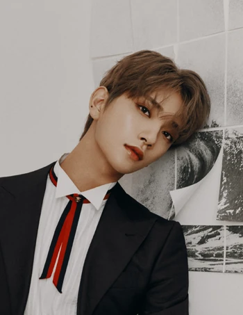 Jung Hoyoung | K-Pop Fanon Fandom Wiki | Fandom