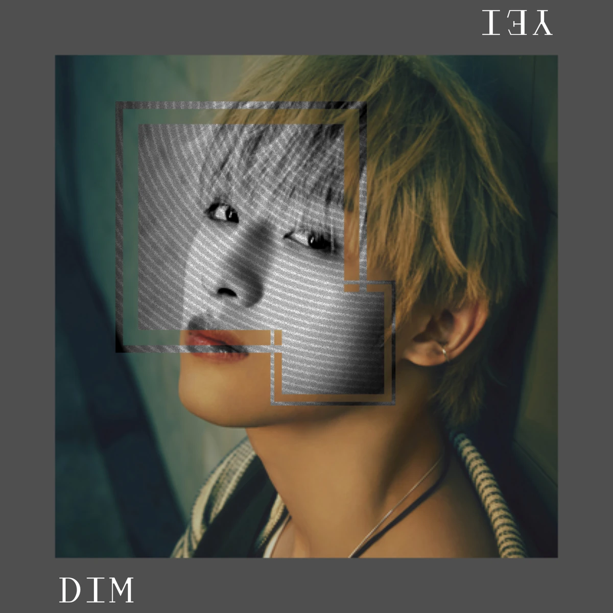 DIM | K-Pop Fanon Fandom Wiki | Fandom