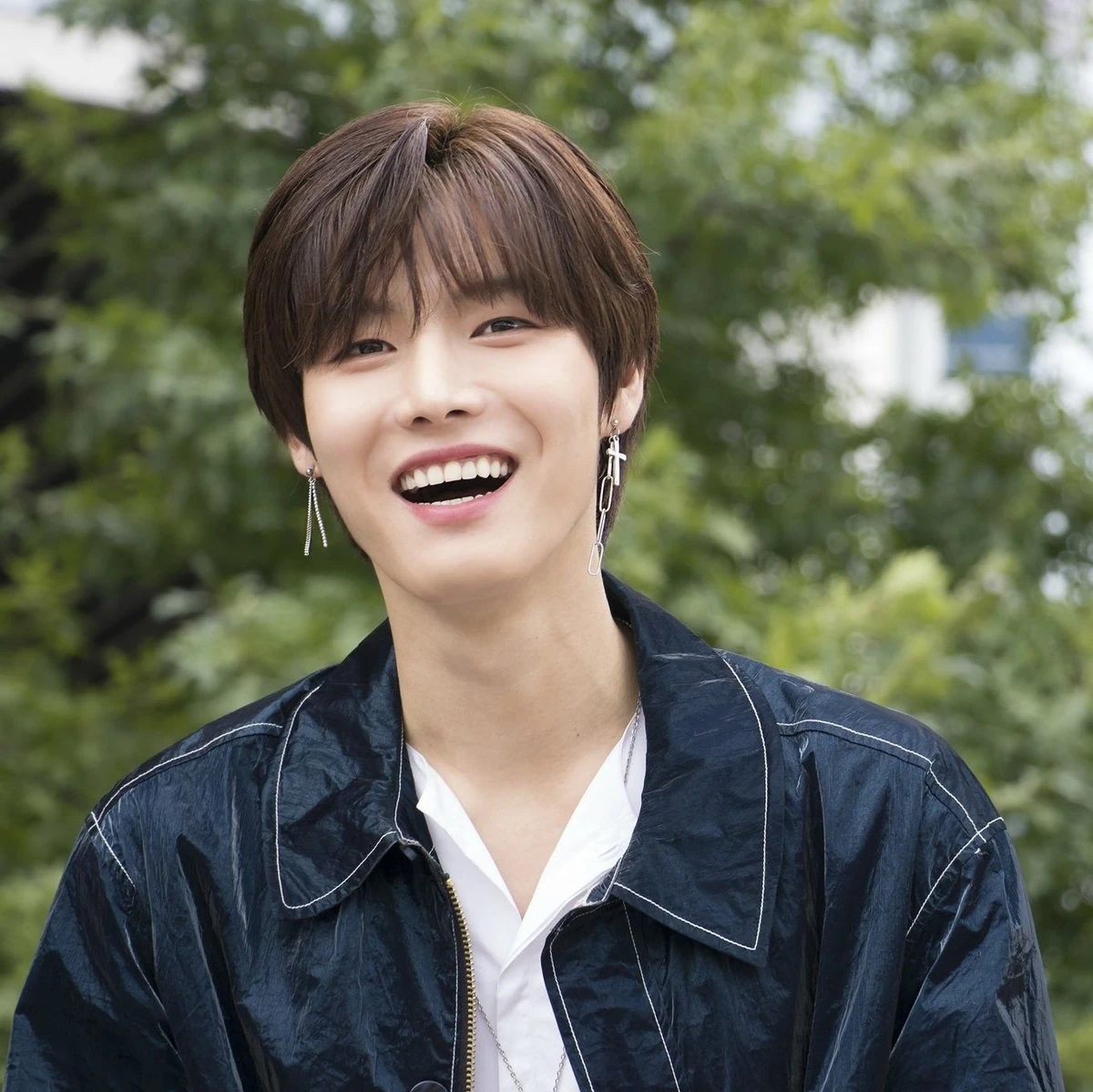 Mingyu | KPOP Story: Idol Manager Universe Wiki | Fandom