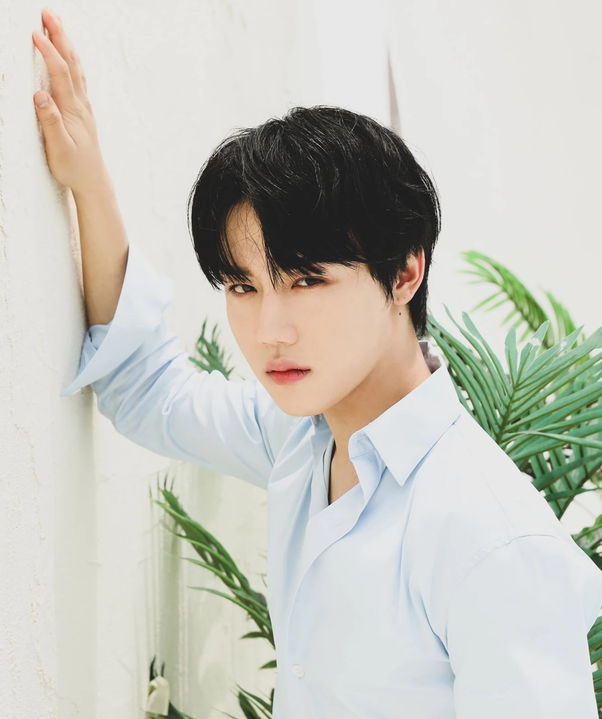 Hui (Rainbow Punch) | KPOP Story: Idol Manager Universe Wiki | Fandom