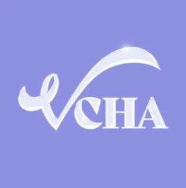 VCHA | K-pop Universe Wiki | Fandom