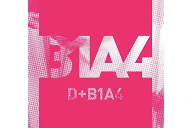 Album B1a4 Tried To Walk