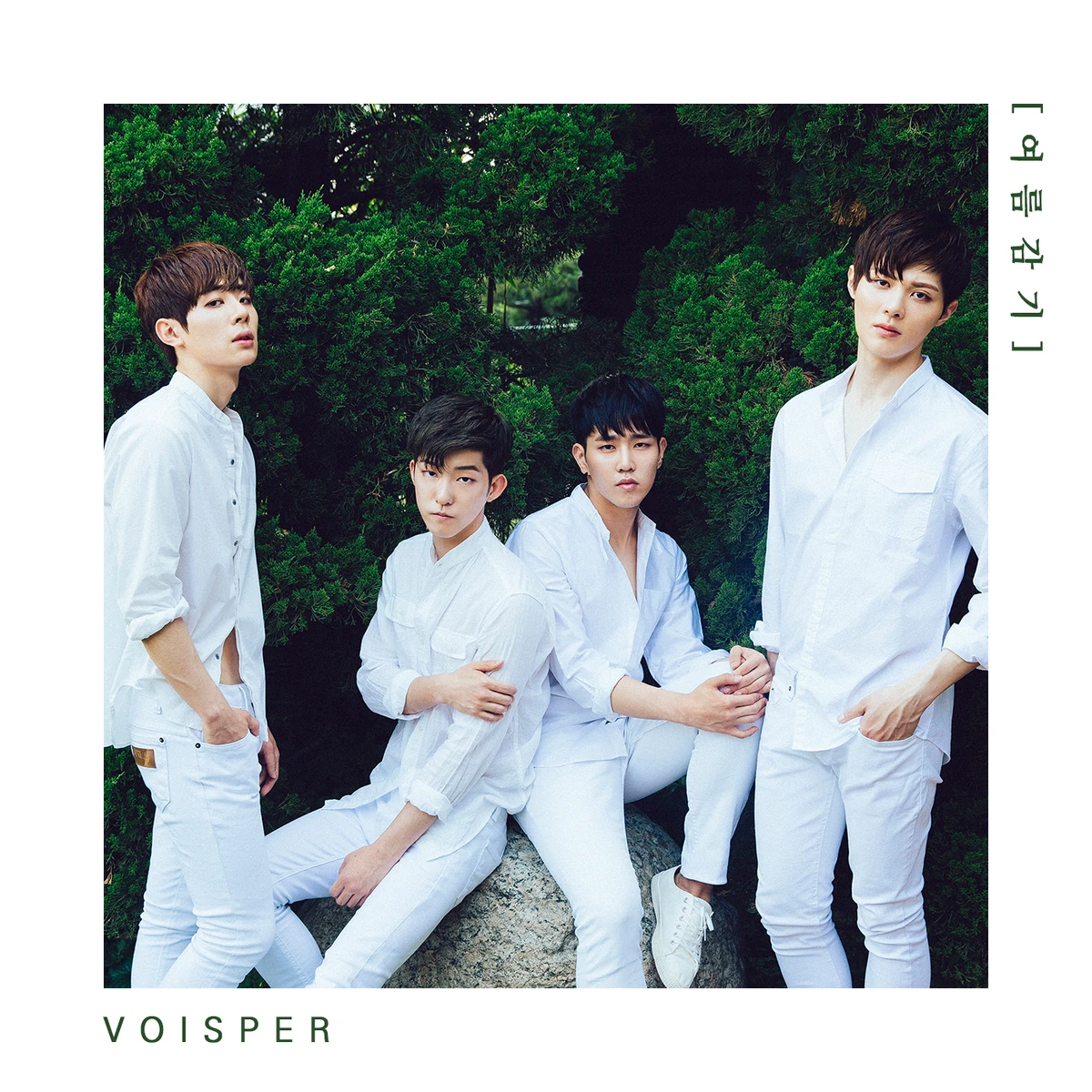 Summer Cold | Kpop Wiki | Fandom