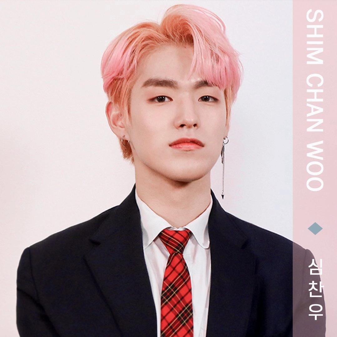Shim Chan Woo | Kpop Wiki | Fandom