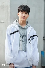 VIIN | Kpop Wiki | Fandom