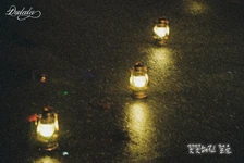 Dalala | Kpop Wiki | Fandom