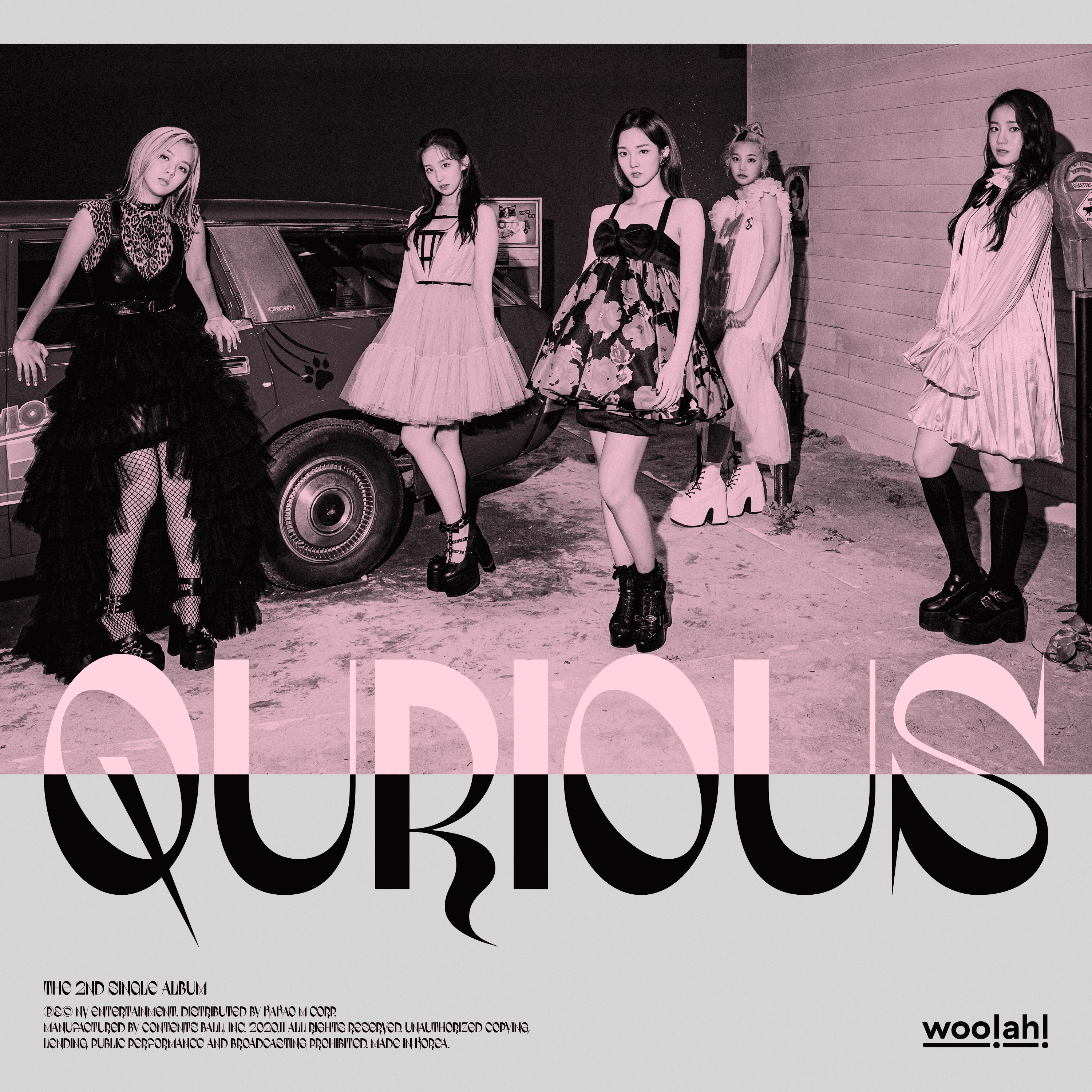 Qurious | Kpop Wiki | Fandom