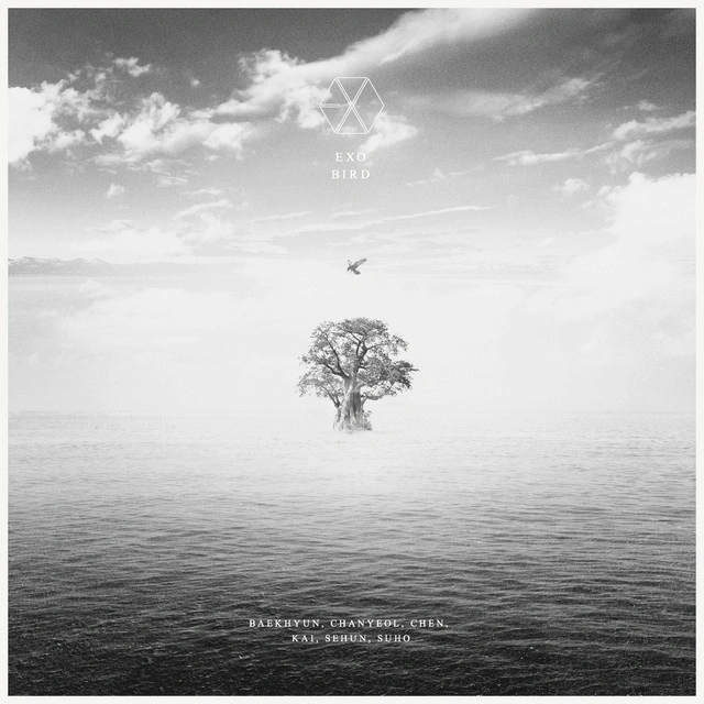 Bird | K-pop вики | Fandom