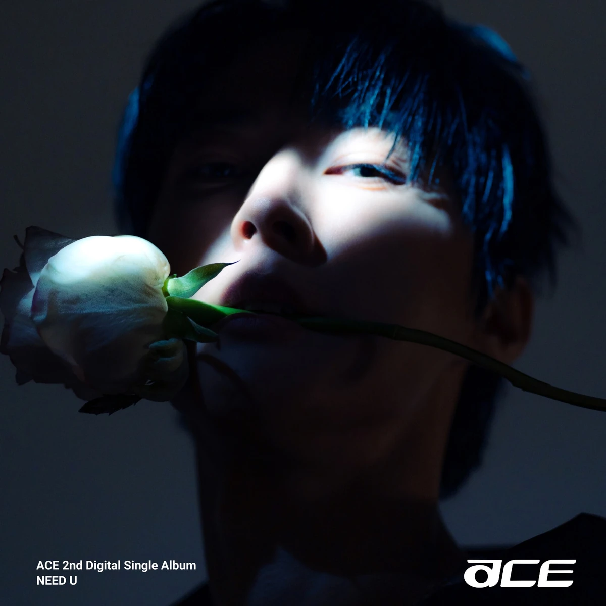 Need U (Ace) | Kpop Wiki | Fandom