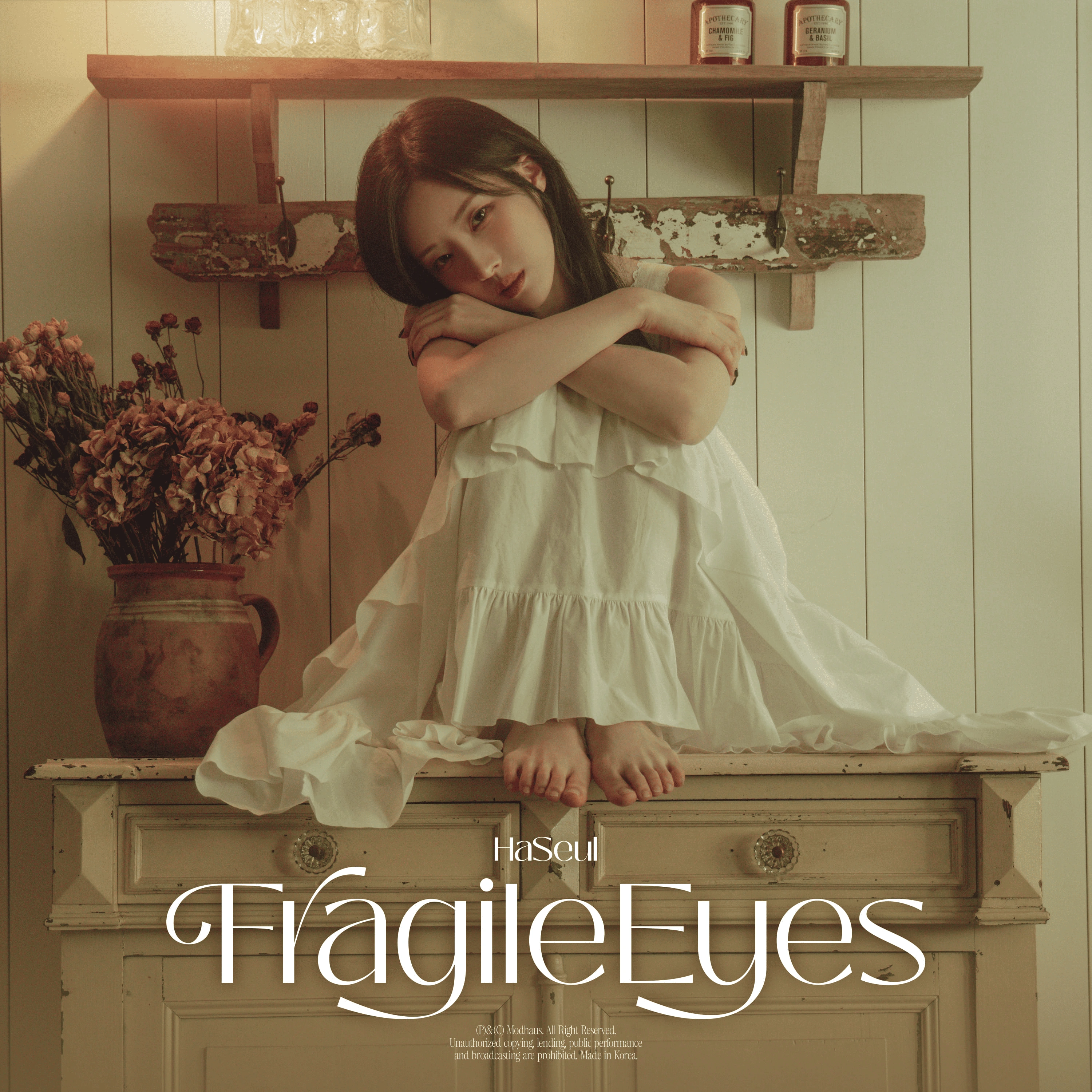 Fragile Eyes | Kpop Wiki | Fandom