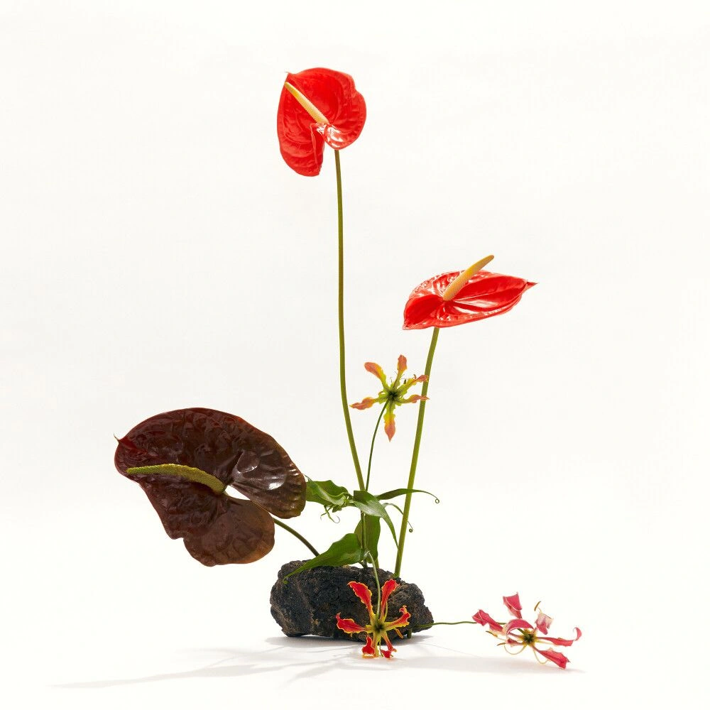 Sweeet | Kpop Wiki | Fandom