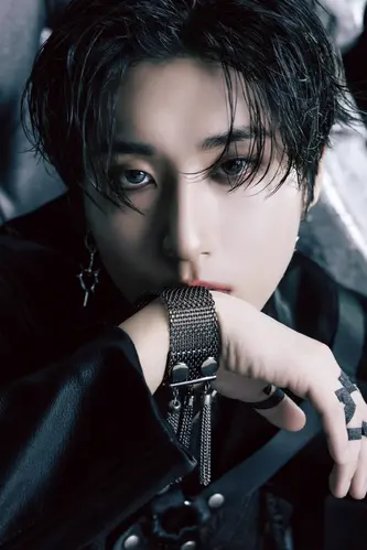 Han (Stray Kids) | Kpop Wiki | Fandom