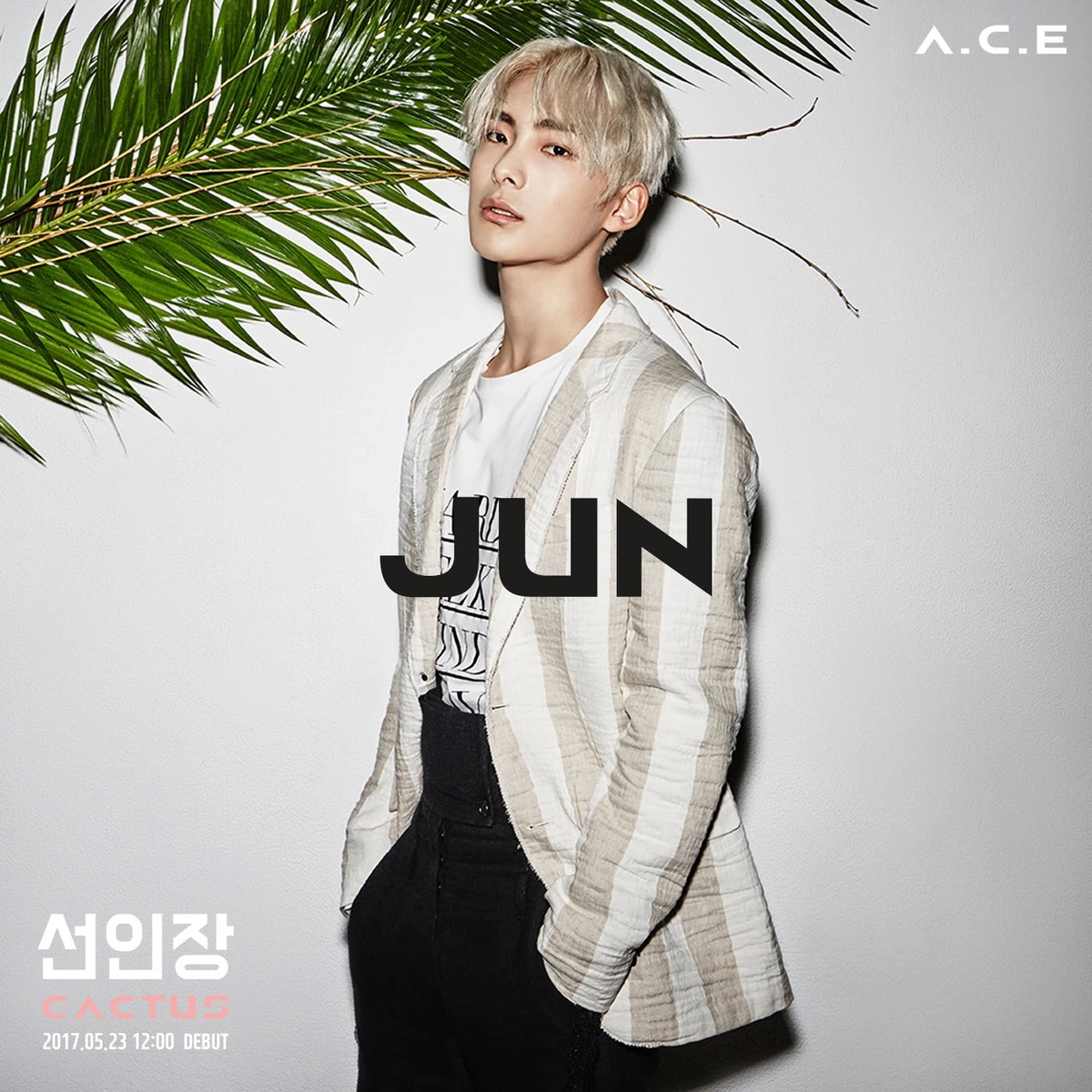 Park Junhee/Gallery | Kpop Wiki | Fandom