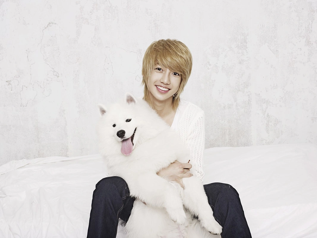 Youngmin (BOYFRIEND)/Gallery | Kpop Wiki | Fandom