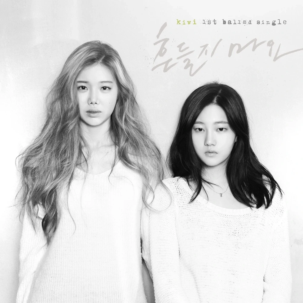 Don't Shake My Heart | Kpop Wiki | Fandom