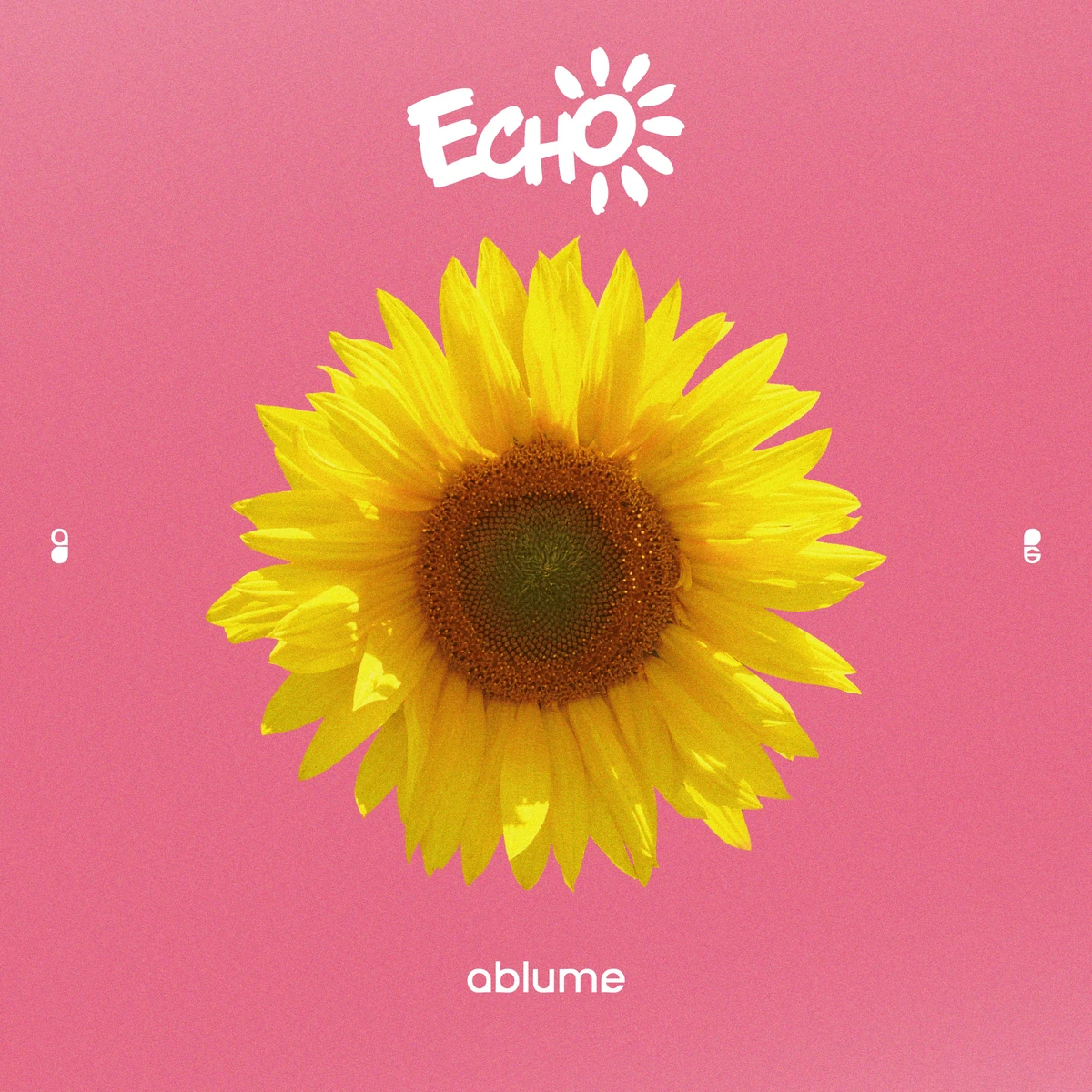 Echoes of Echo | K-pop вики | Fandom