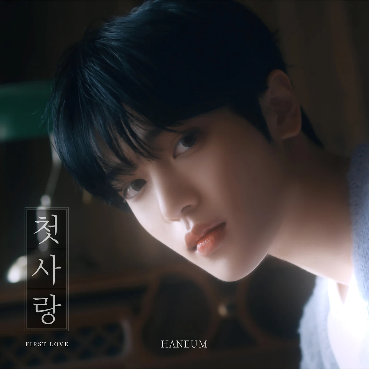 First Love (Haneum) | Kpop Wiki | Fandom