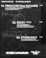 Beam (Hoshi X Woozi) | Kpop Wiki | Fandom