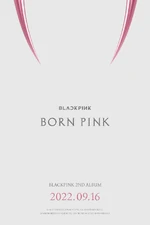 Born Pink | Kpop Wiki | Fandom