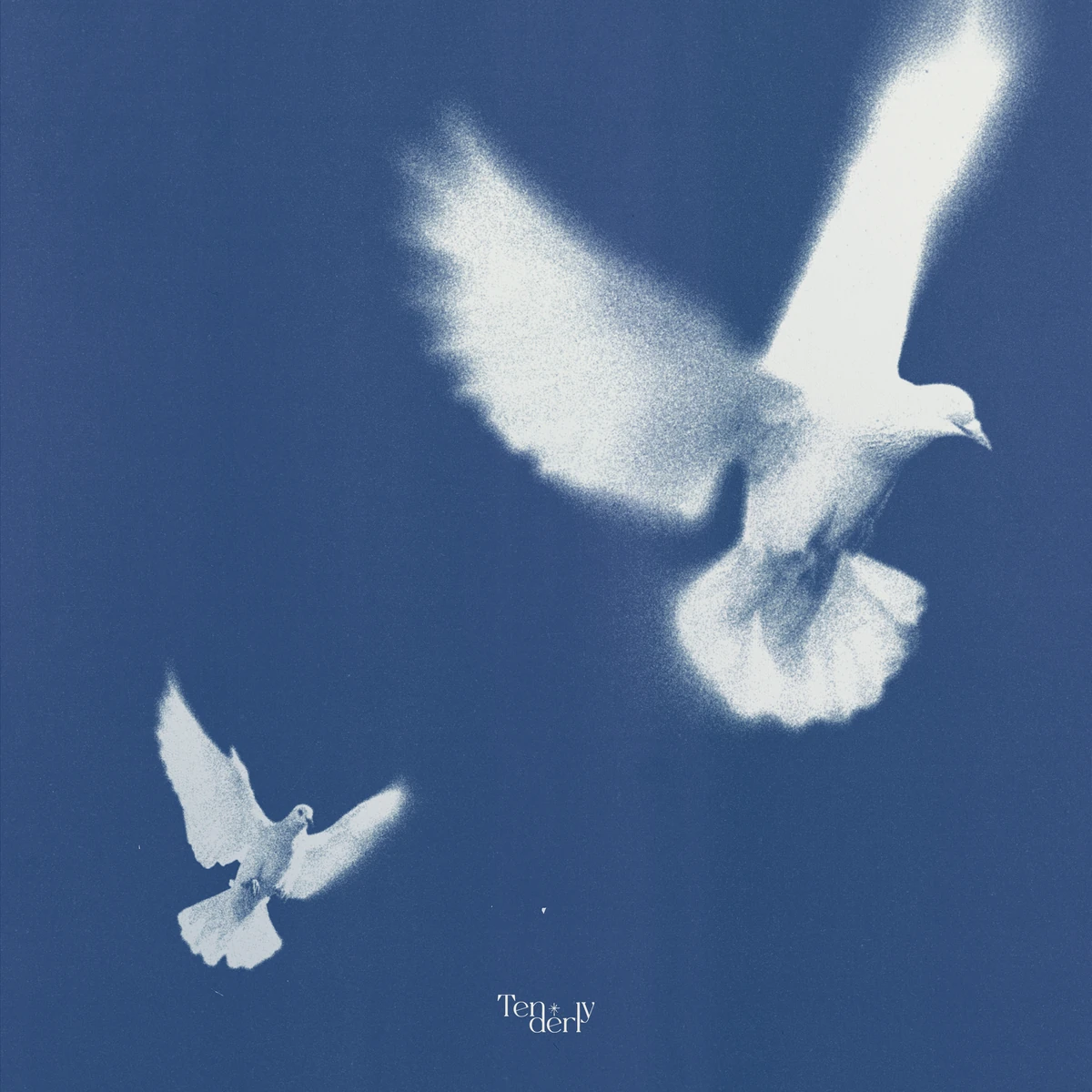 Tenderly | Kpop Wiki | Fandom