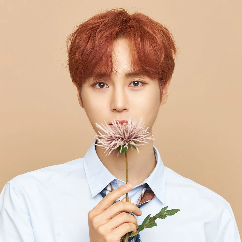 Aivan | Kpop Wiki | Fandom