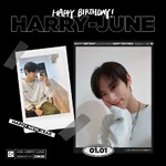 Гарри-Джун | K-pop вики | Fandom