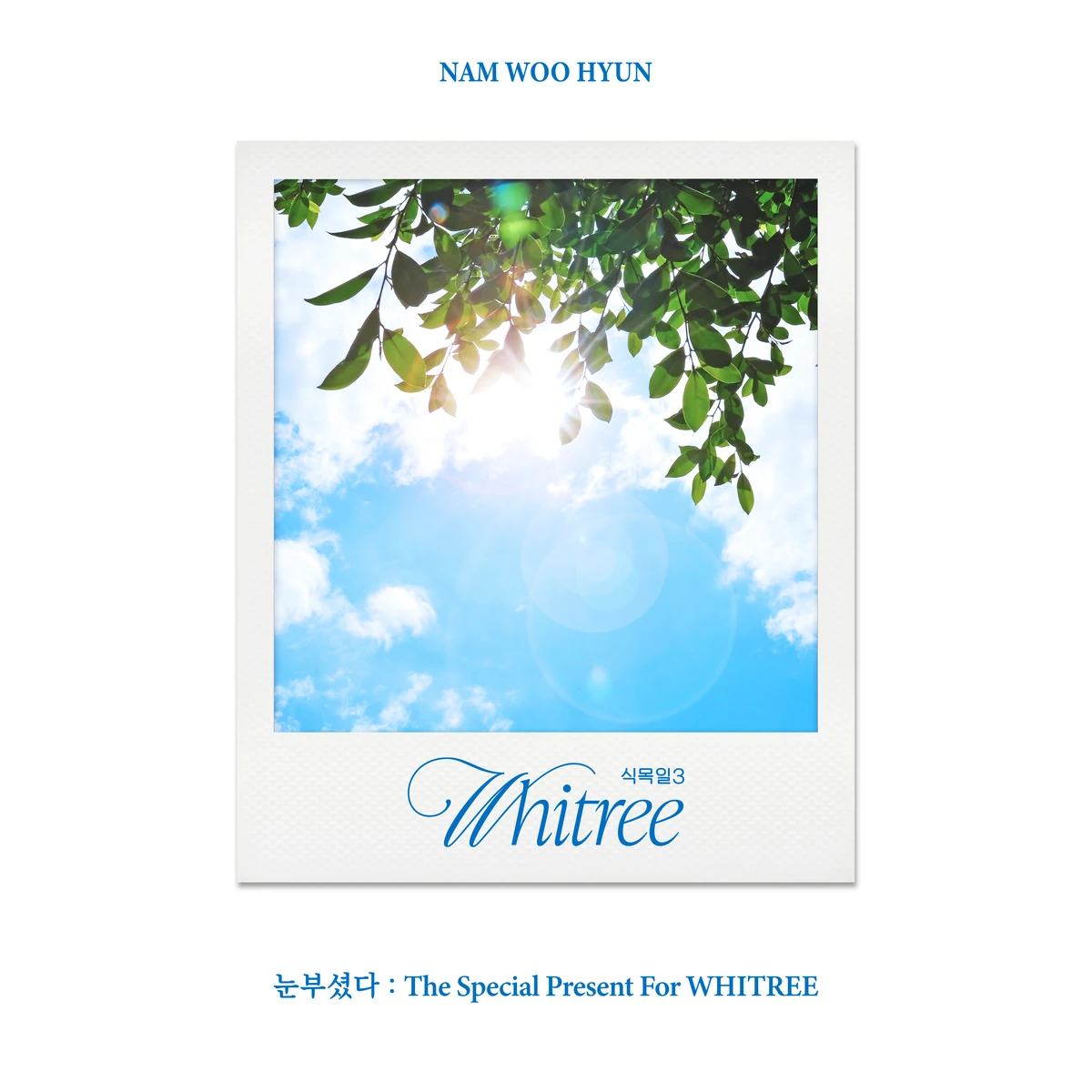 Sunshine : The Special Present For Whitree | Kpop Wiki | Fandom