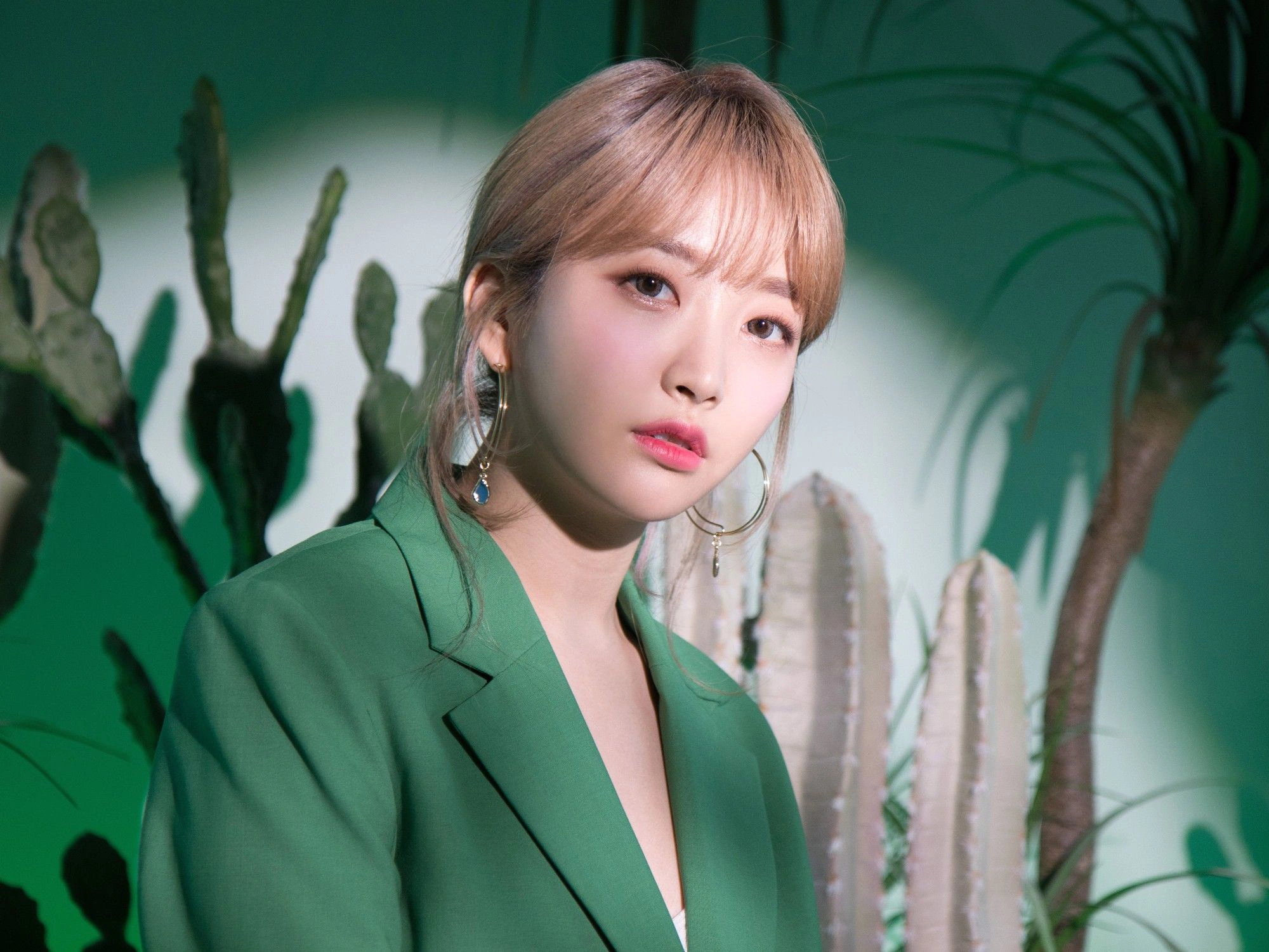 Punch (singer) | Kpop Wiki | Fandom