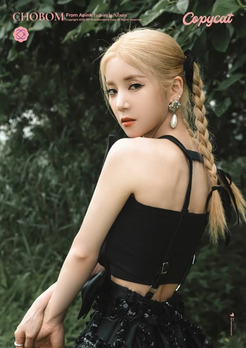 Chorong (Apink) | Kpop Wiki | Fandom