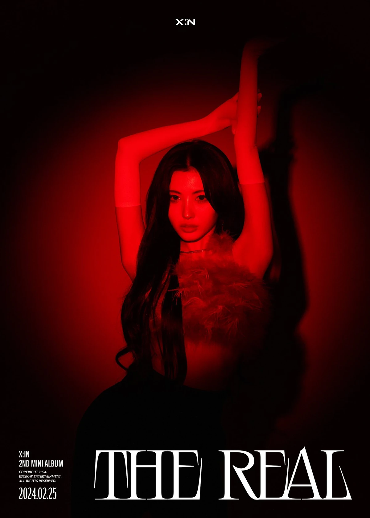 Nizz | Kpop Wiki | Fandom