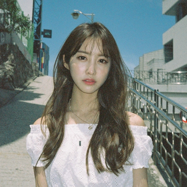 Sugar Cake | Kpop Wiki | Fandom