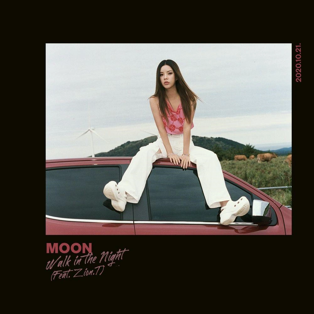 Walk In The Night | Kpop Wiki | Fandom