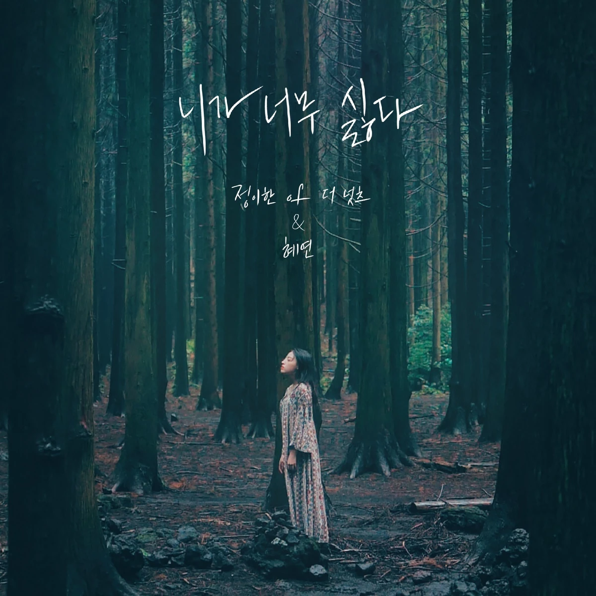 Niga Neomu Silta | Kpop Wiki | Fandom