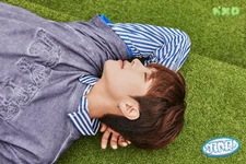 Jaemin (NXD) | Kpop Wiki | Fandom